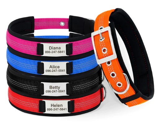 Choose The Right Dog Collar For Your Dog, Australia – Ads-Space